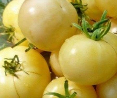 Томат Большой пломбир: характеристики и описание сорта, урожайность ...