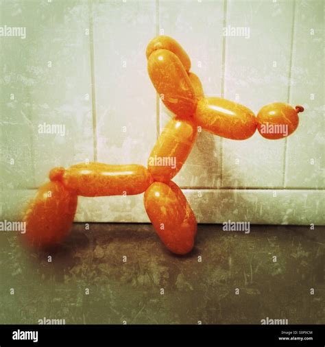 Balloon dog hi-res stock photography and images - Alamy