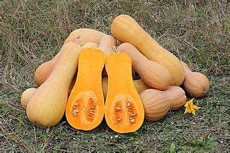 Bocor - Wikipedia