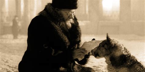 «Собачье сердце»