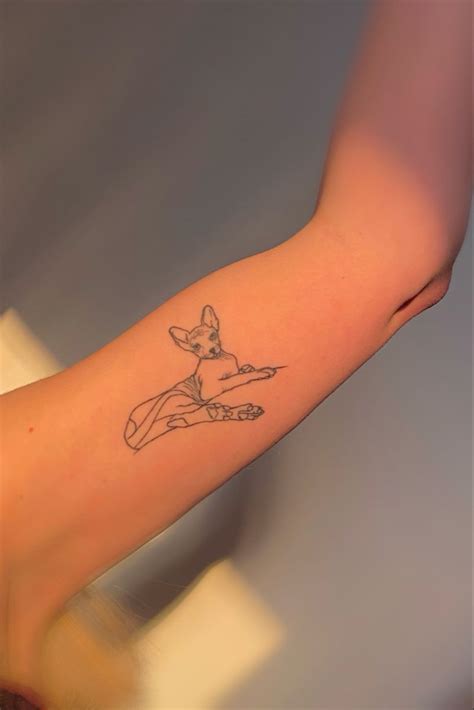 Sphynx cat Tattoo sunset | Tatuaggi