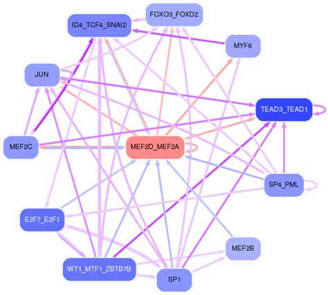 ISMARA results: MEF2D_MEF2A