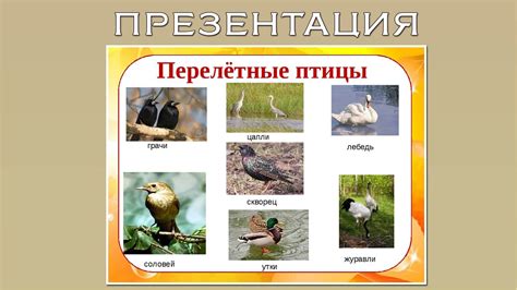 Презентация для дошкольников перелетные птицы осенью - YouTube