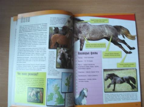 Книга: Познакомься с миром: Лошади и пони - . Купить книгу, читать ...
