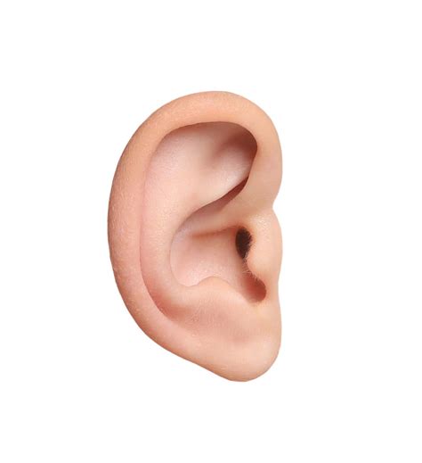 Tips for Cleaning Your Ears | DigiCare Hearing Solutions, Inc.