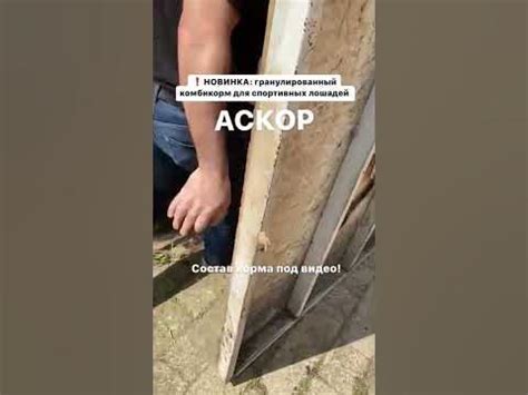 Гранулированный комбикорм для спортивных лошадей #ДляЛошадей - YouTube
