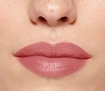 LOREAL COLOR RICHE INSOLENT POMADKA DO UST 173 IMPERTINE - eZebra.pl