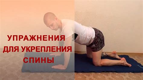 Здоровая спина - залог здоровья человека. Восстановление мышц спины ...