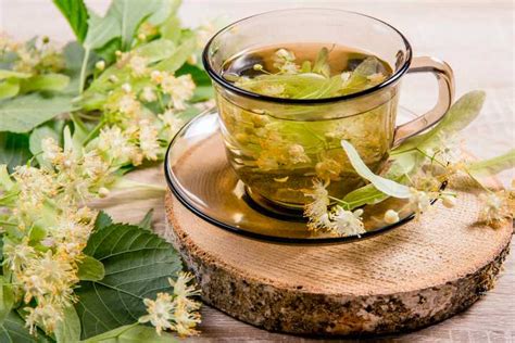 Ihlamurun Faydaları, Ihlamur Neye İyi Gelir? - Yemek.com