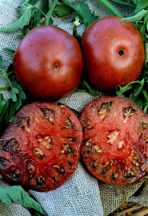 Томаты Индийское Мясо Описание Сорта Фото Отзывы – Telegraph