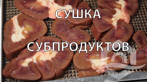Сушка субпродуктов.Сушка говяжьего хвоста, лёгких, мозгов, печени ...