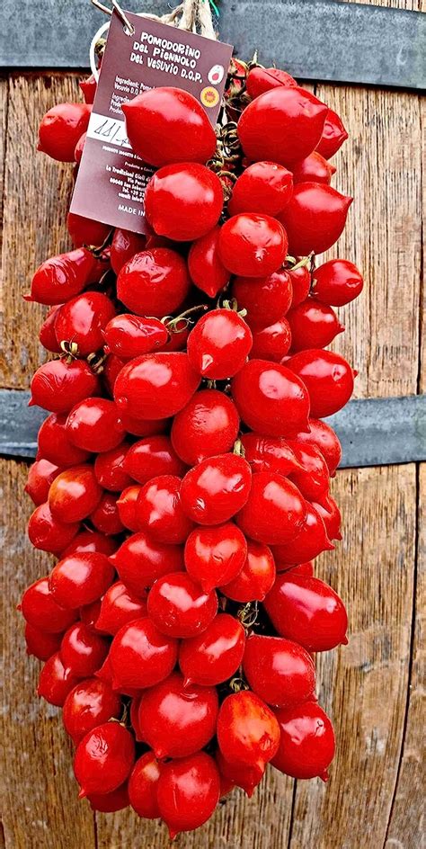 Piennolo del Vesuvio Tomato Seeds Rare Variety from Vesuvi, Italy, Pack ...