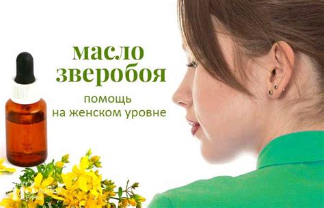 Масло зверобоя: свойства и применение, приготовление в домашних условиях
