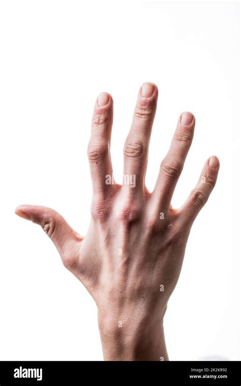 open hand showing five gaunt fingers Stock Photo - Alamy