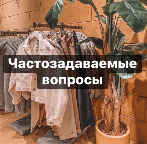 Самые частозадаваемые вопросы FAQ о ТИМШОП | Картинки, Разное, Пальма