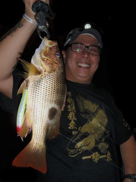 Ima Singapore: Our catches on Ima Flit 120