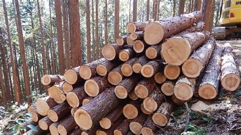 Environment | Sustainability | TOMOEGAWA CORPORATION
