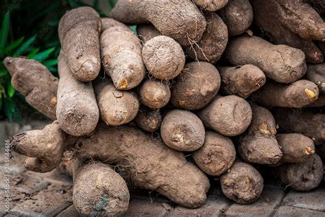 Yam Storage