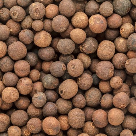 Ayurveda Health Benefits of Vidanga - Embelia Ribes