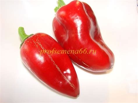 Черный конь
