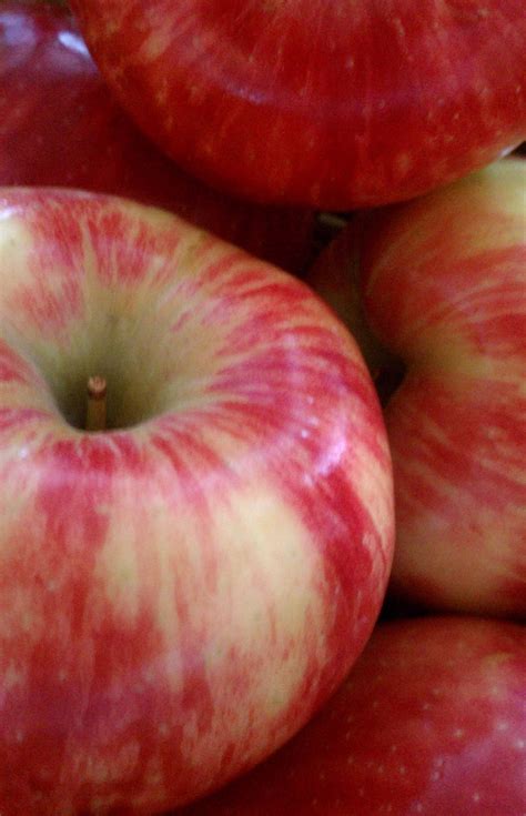 The Next Right Choice: Honeycrisp Heaven