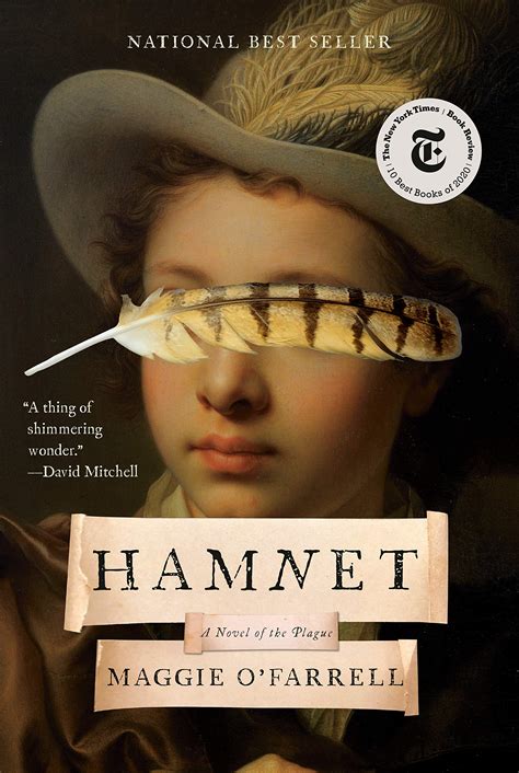 Hamnet - Barbara Delinsky