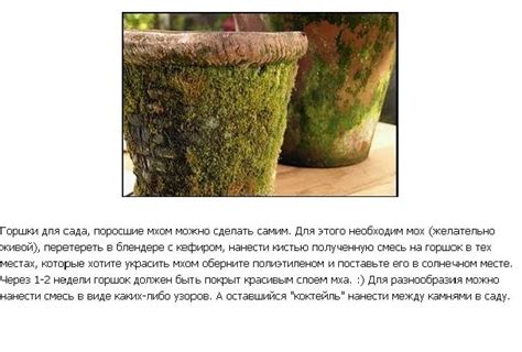 Как вырастить мох на цветочном горшке. Дачно-балконный декор | oblacco