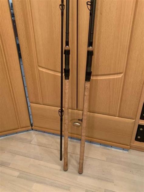 Daiwa Castizm 12ft 3lb