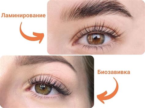Ламинирование Ресниц: Что это такое, До и После, Сколько стоит + Как ...