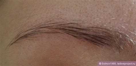 Гель для бровей и ресниц от Арт-Визаж отзывы – LadiesProject