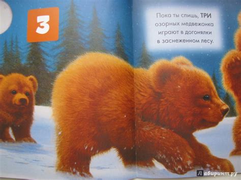 Книга: Пока ты спишь... - Джон Батлер. Купить книгу, читать рецензии ...