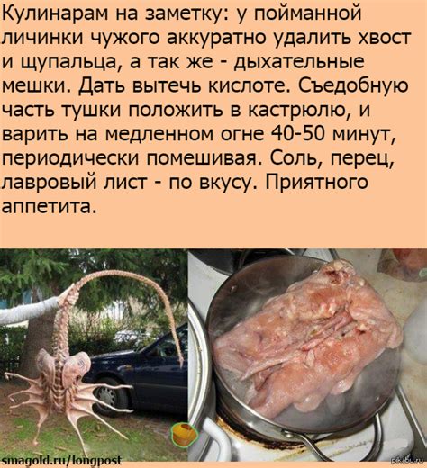 Отличный рецепт личинки чужого. | Пикабу