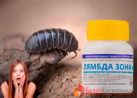 Лямбда Зона средство от тараканов