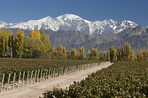 Mendoza | Great Wine Capitals | Best places to travel, Places to travel ...