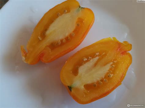 Томат Гном Банановые Пальчики/Dwarf Banana Toes - «Очень хороший и ...