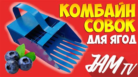 КОМБАЙН ДЛЯ СБОРА ЯГОД ЧЕРНИКИ СОВОК ПЛОДОСЪЕМНИК КУПИТЬ | ОБЗОР JAM TV ...