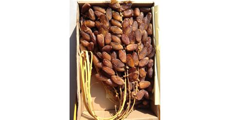Dates of deglet Nour Algeria Premium 1kg