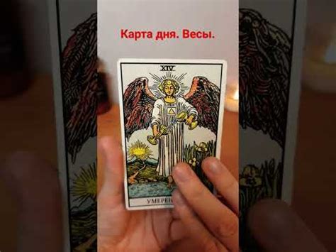 Весы. 23 марта. Карта дня. - YouTube
