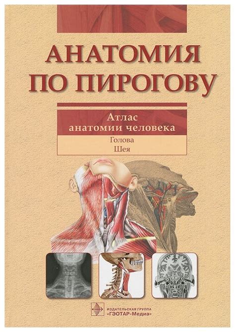 Шилкин В.В., Филимонов В.И. "Анатомия по Пирогову. Атлас анатомии ...