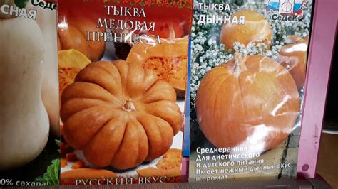 🌱 СОРТА ТЫКВЫ для СОКА и СУШКИ! 👍И ЭТО РЕАЛЬНО! - YouTube