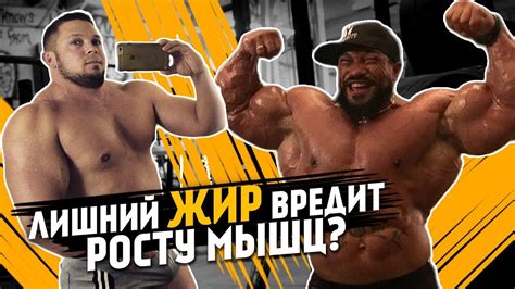 КОГДА НАБОР МАССЫ ПЕРЕХОДИТ В ОЖИРЕНИЕ? - YouTube