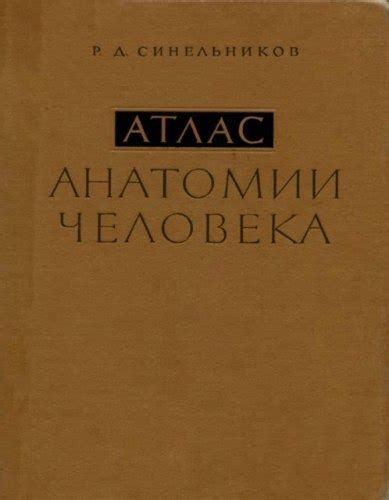 Атлас Анатомии Человека В 3-Х Томах Синельников Р.Д - regulationsimport