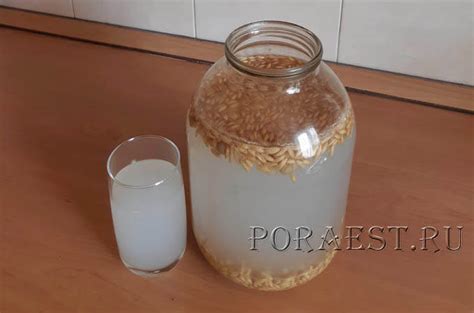 Овсяный квас — рецепт из цельного овса. Польза и вред кваса