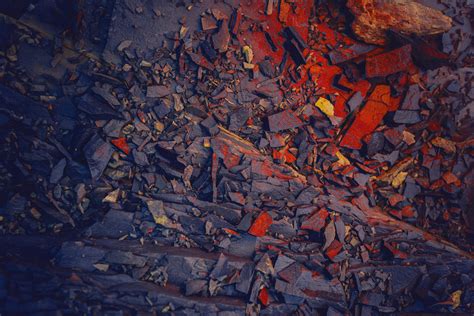 NEON PLANTS :: Behance