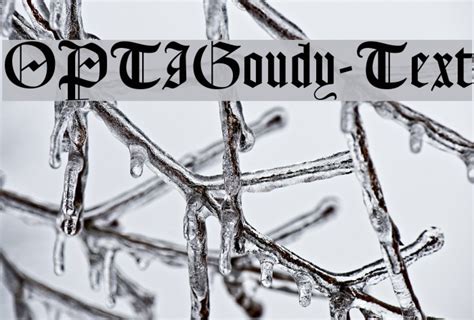 OPTIGoudy-Text Font - FFonts.net