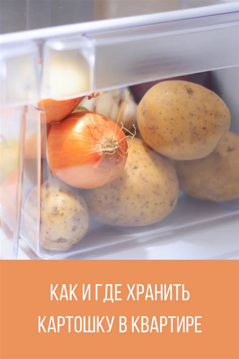 Как и где хранить картошку в квартире, чтобы не испортилась: 5 идей и ...