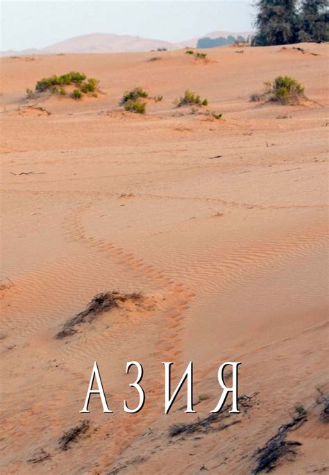 Азия. Книга трофеев “Сафари” 2020 | САФАРИ