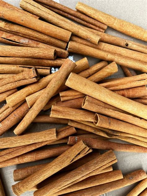 Sun Drying Organic cinnamomum cassia, Certification : FSSAI Certified ...