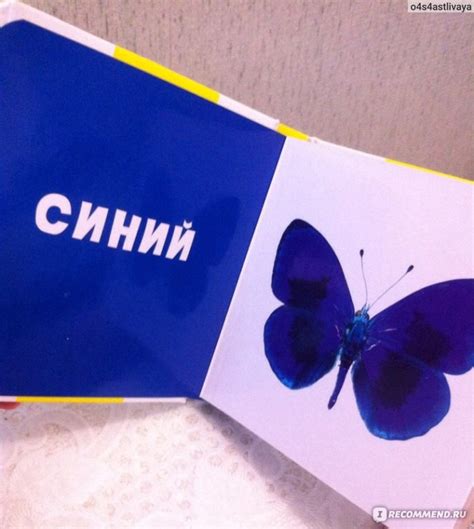 Мои первые слова. Цвета. Клевер Медиа Групп - «красивые картинки с ...