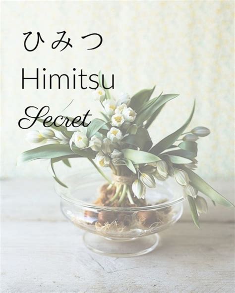 #himitsu on Tumblr